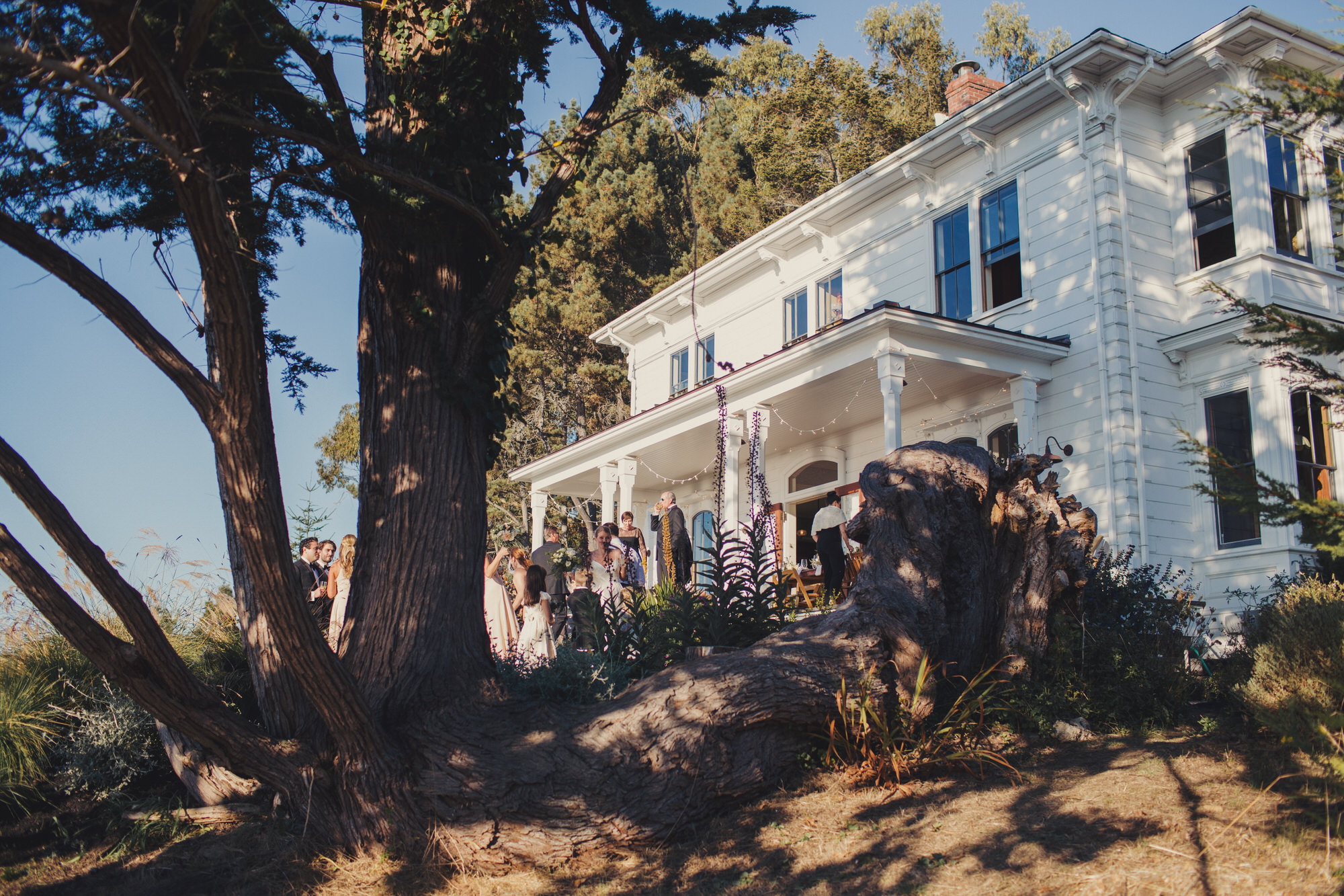 Switzer Farm Wedding on the Mendocino Coast in California