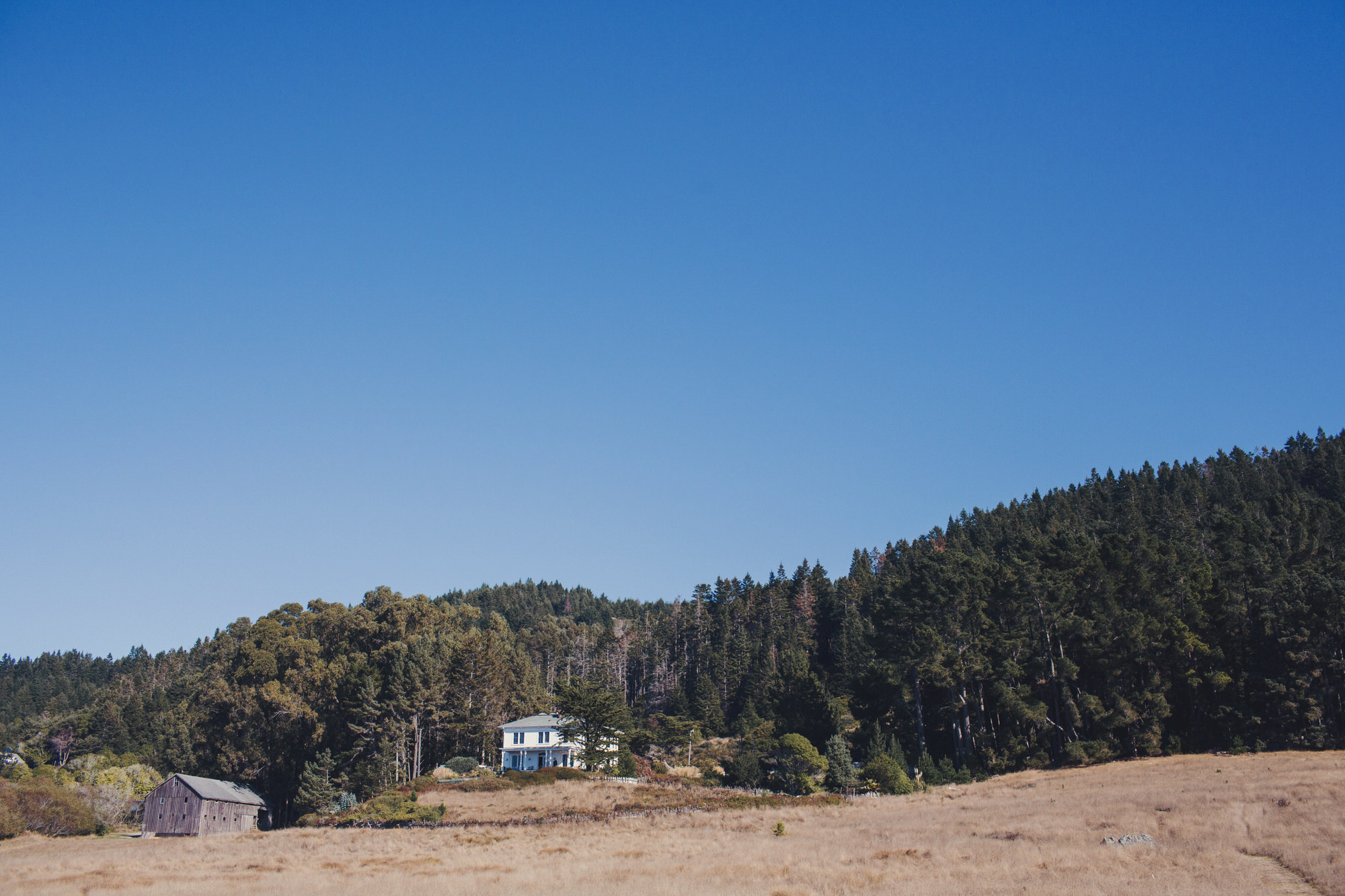Switzer Farm Wedding on the Mendocino Coast in California