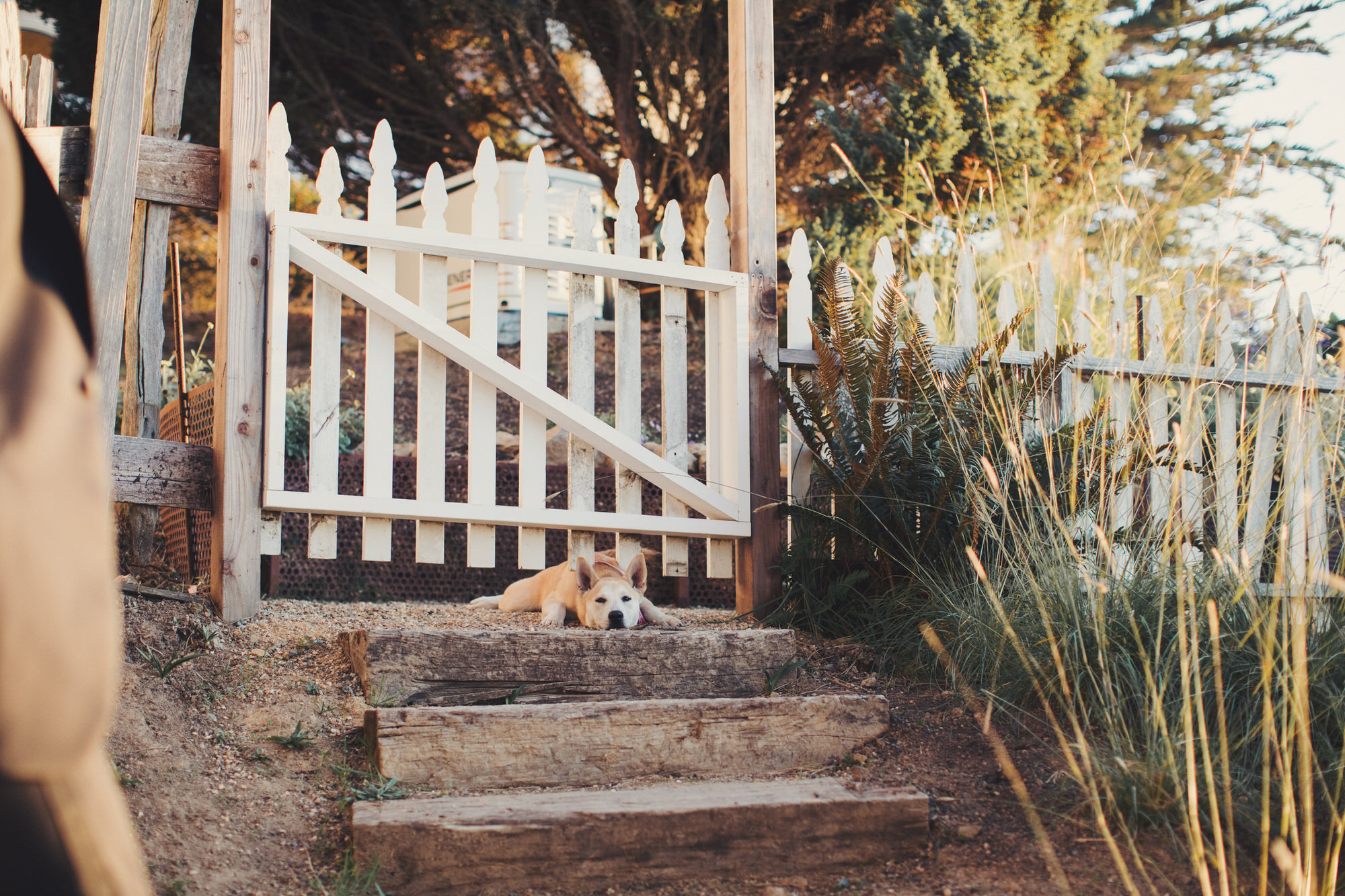 Switzer Farm Wedding on the Mendocino Coast in California