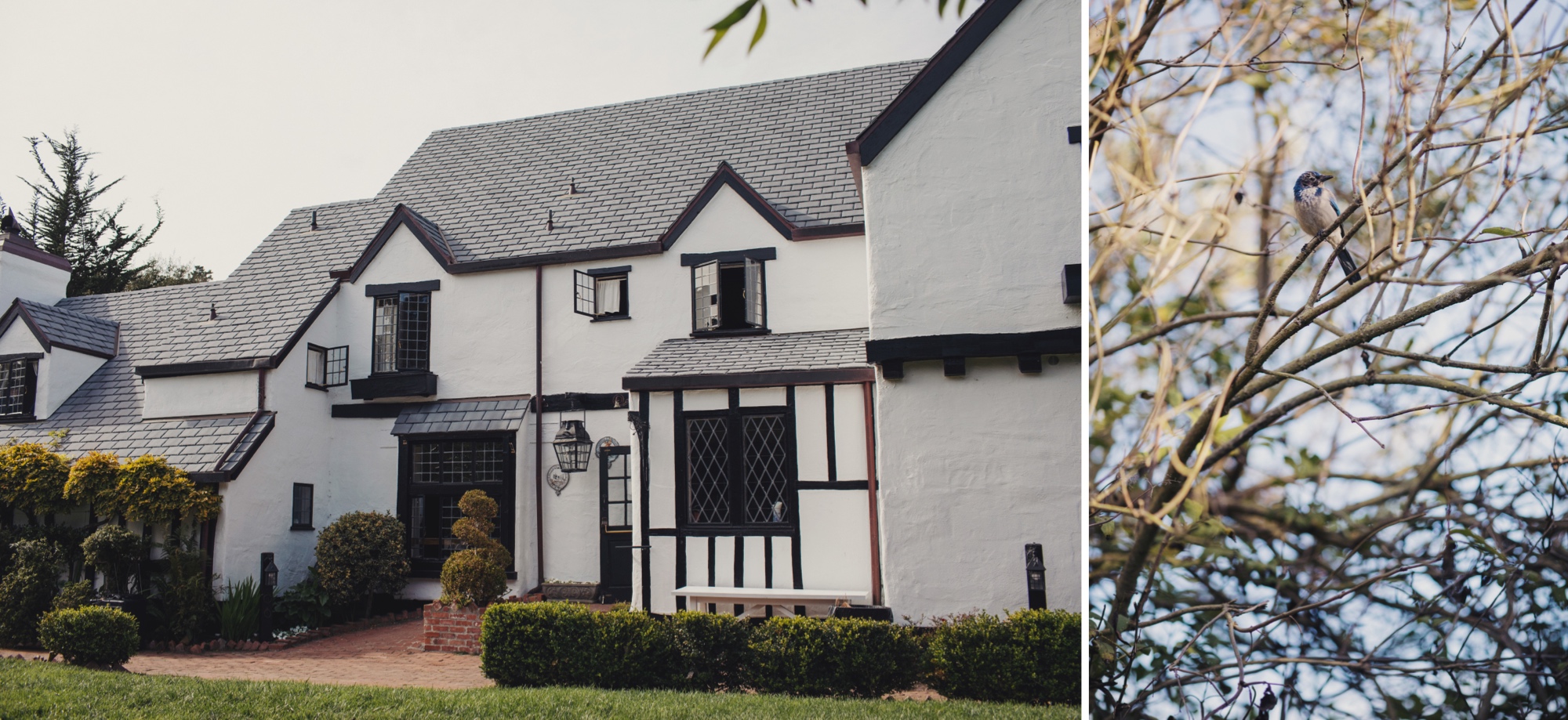 Pelican Inn Muir Beach Wedding - Anne-Claire Brun Photography
