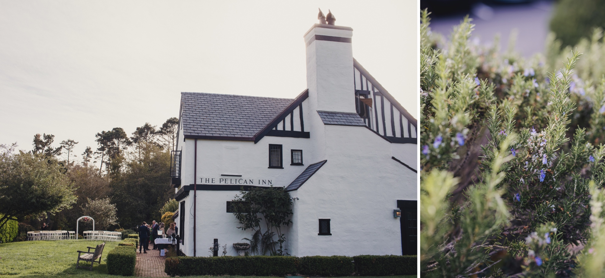 Pelican Inn Muir Beach Wedding - Anne-Claire Brun Photography